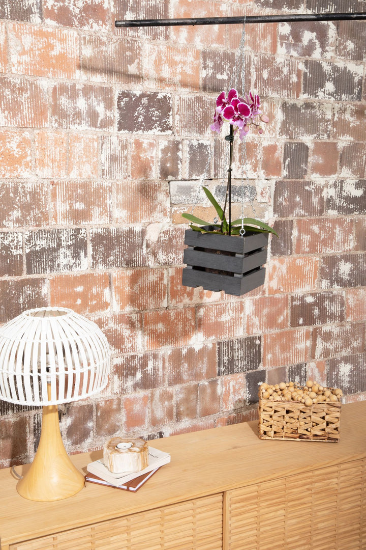 Vanda Baskets - Wooden Hanging Baskets for Orchids – rePotme