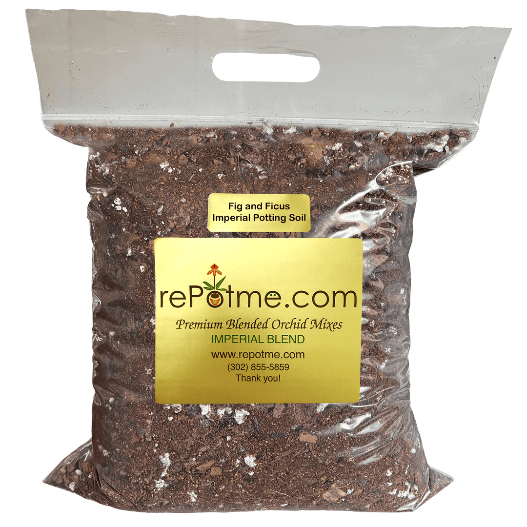 Fiddle Leaf Fig and Ficus Imperial Potting Soil Mix – rePotme