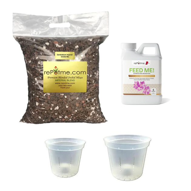 Orchid Starter Kits – rePotme