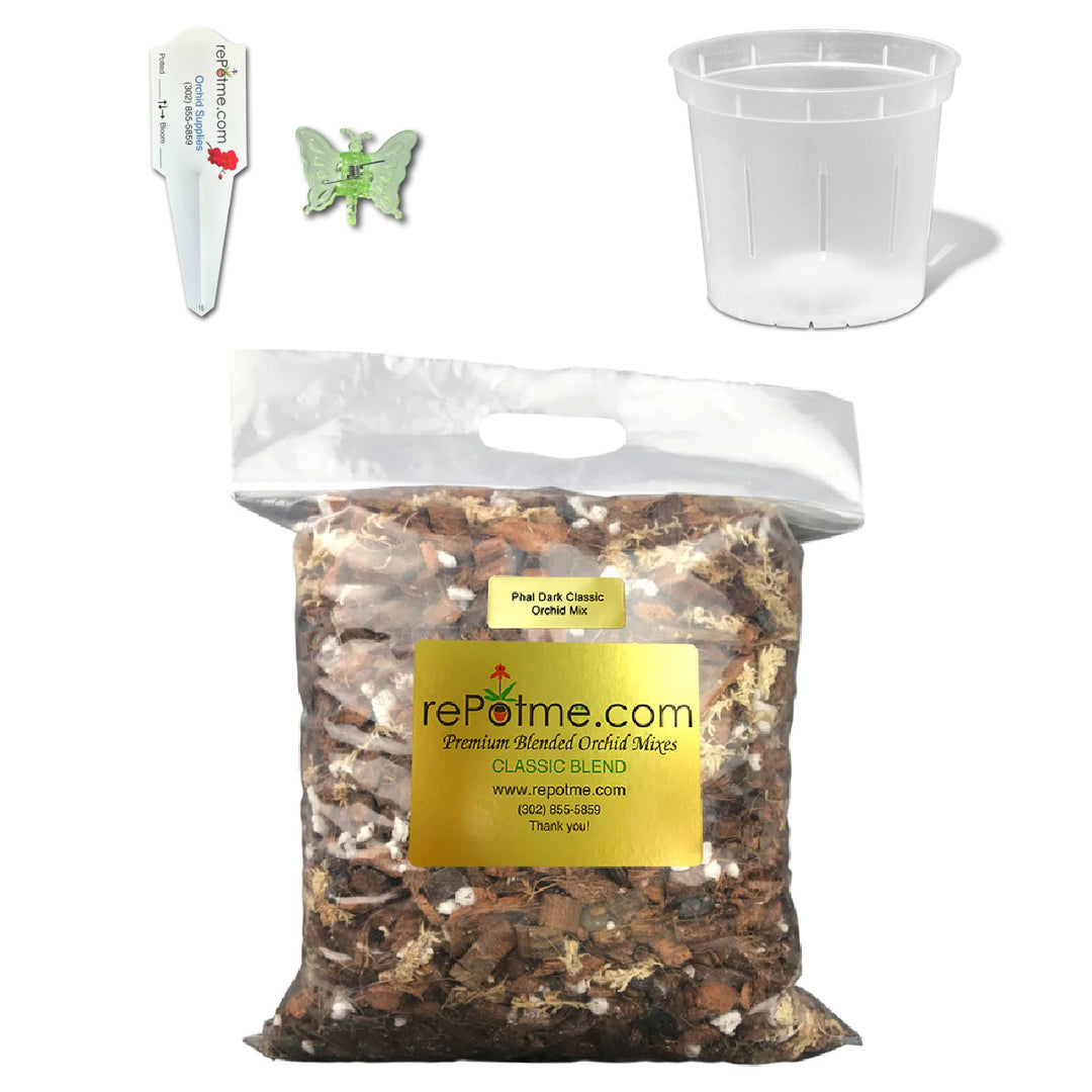 Phalaenopsis Dark Orchid Starter Kit – rePotme