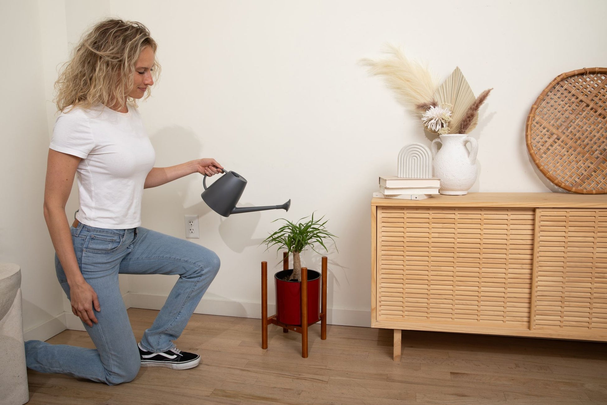 Is my African Violet Sick? - Leaf Colors Explained – rePotme