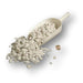 Large Sponge Rock – rePotme