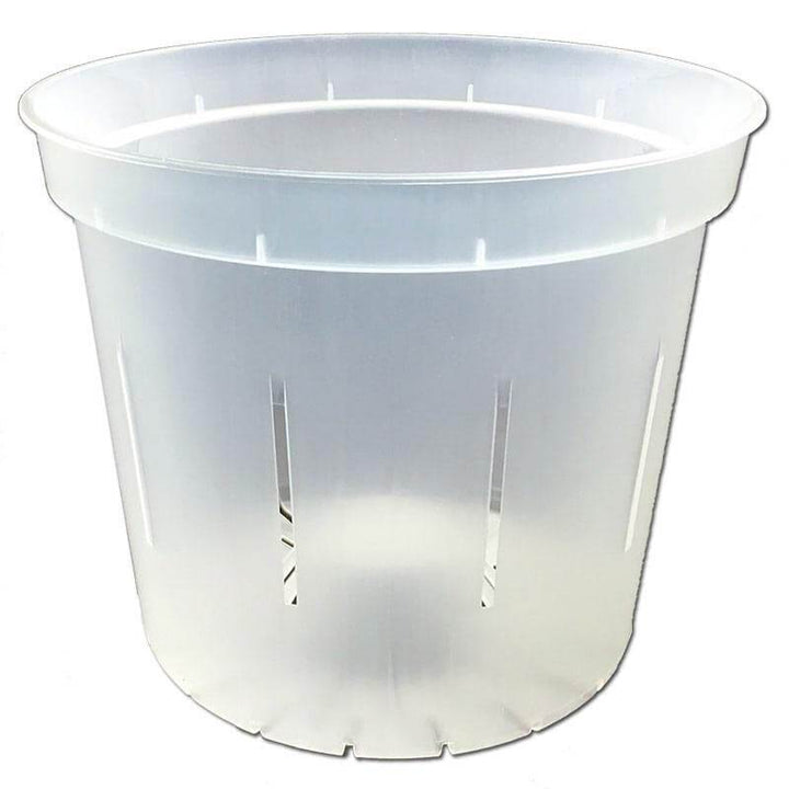 6" Slotted Clear Orchid Pot – rePotme