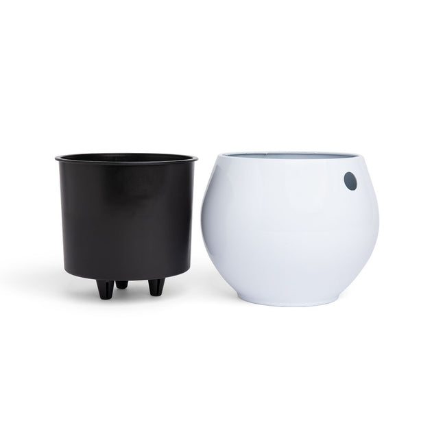 6 inch Aqua Core Self Watering Pot - Designer White – rePotme