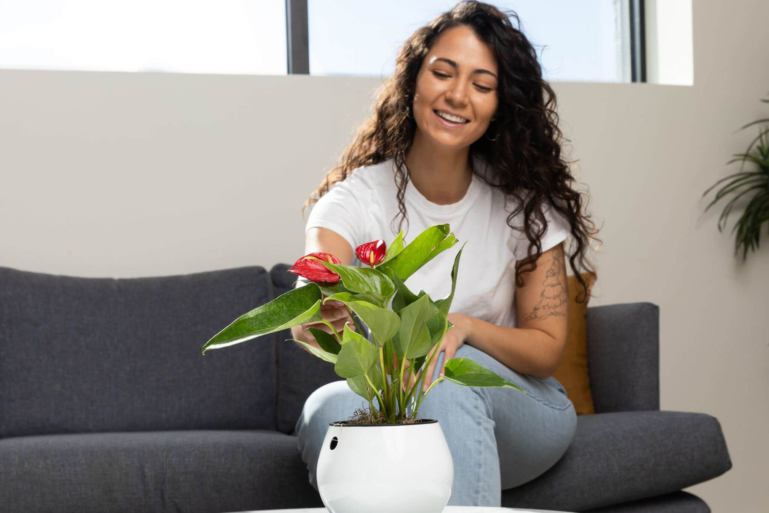 6 inch Aqua Core Self Watering Pot - Designer White – rePotme